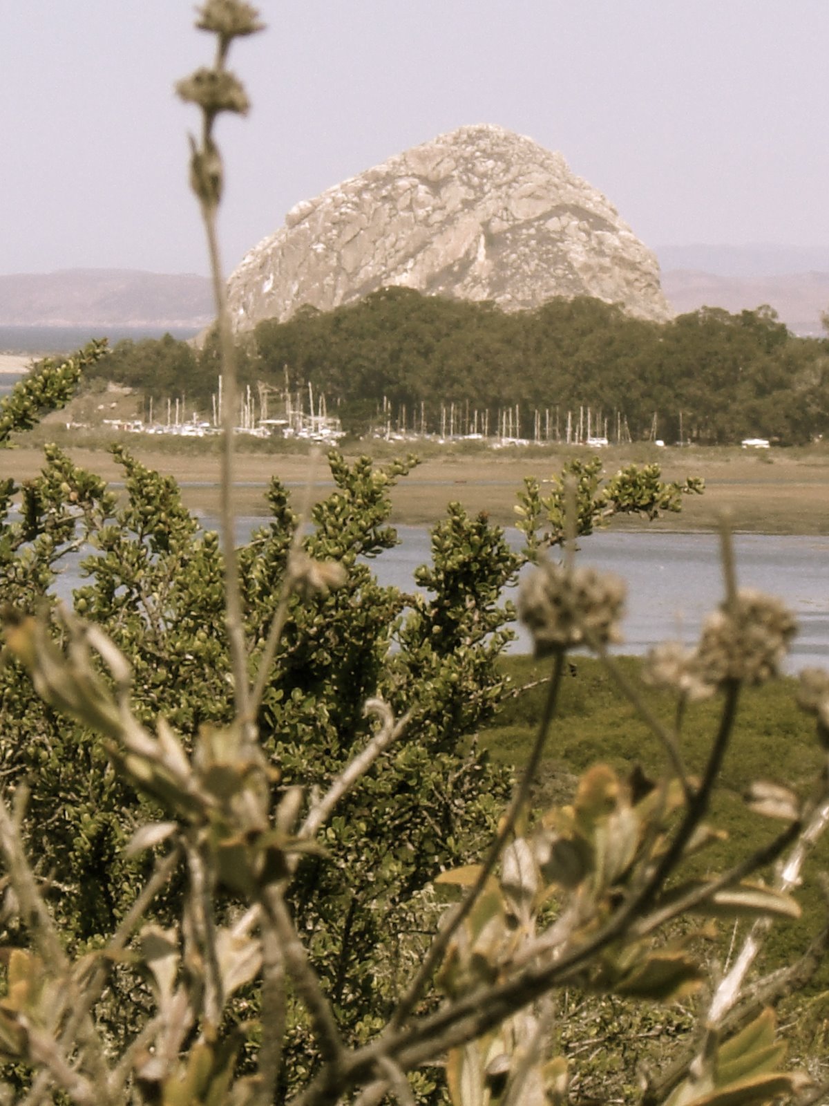 more elfin forest. - Lisa Leonard Designs Blog