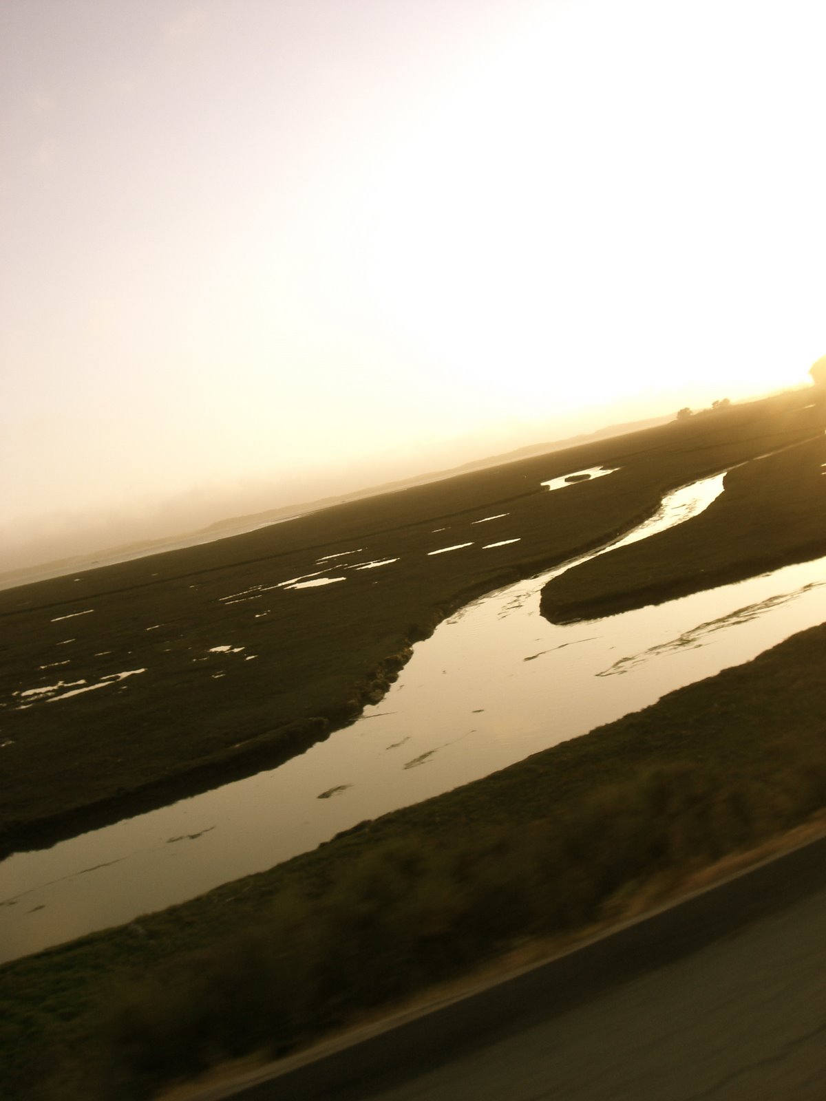 estuary. - Lisa Leonard Designs Blog